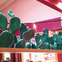 Santa Rita Tex Mex Cantina - Rosedale - Austin, TX