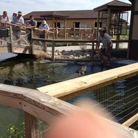 Boulder Ridge Wild Animal Park - Zoo