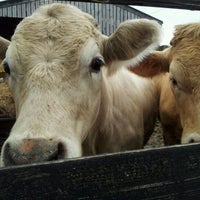 Redcliffe Farm Shop - Redcliffe Lane
