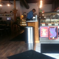 Java Cat - Madison, WI