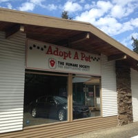 Seattle Humane Society - Woodridge - Bellevue, WA