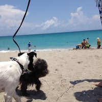 Juno Beach Dog Park - Dog Park in The Bluffs