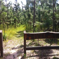 Withlacoochee River Park - Dade City, FL