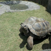 Greensboro Science Center - 45 tips from 2144 visitors