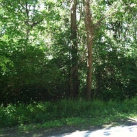 Red Gate Woods - 2 tips from 147 visitors
