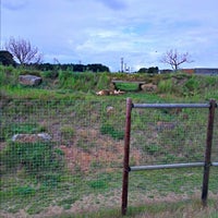 Yorkshire Wildlife Park - Zoo in Doncaster