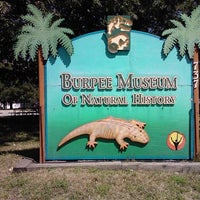 Burpee Museum Of Natural History - History Museum in Rockford