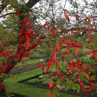 University of Oxford Botanic Garden - Rose Ln