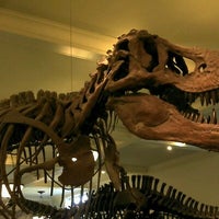 Tyrannosaurus Rex - Upper West Side - 200 Central Park W