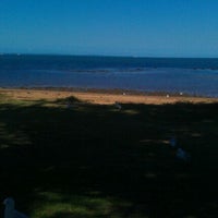 Scarborough Beach Park - Scarborough, QLD