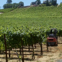 Gregory Graham Wines - Winery in Lower Lake