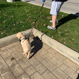 PetSmart locations in Cleveland - See hours, menu, directions, tips ...