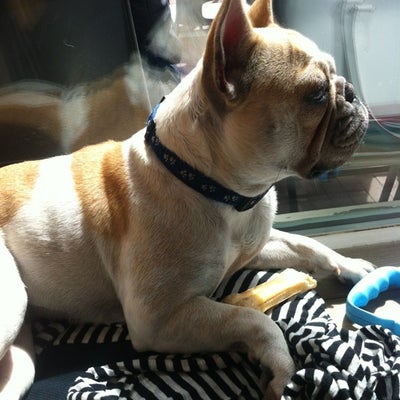 Brandstof - Bar in Jordaan