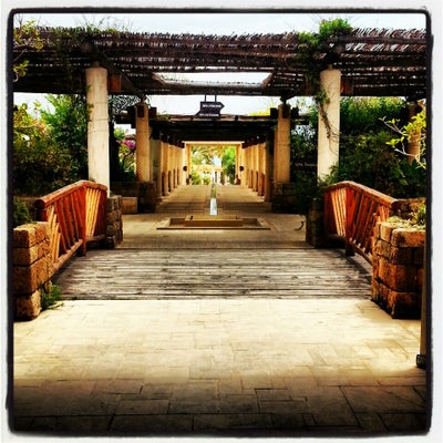 Edde Sands - 37 tips from 1952 visitors