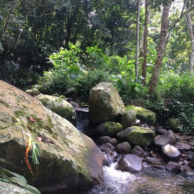 Vargem Grande - 19 tips from 2049 visitors