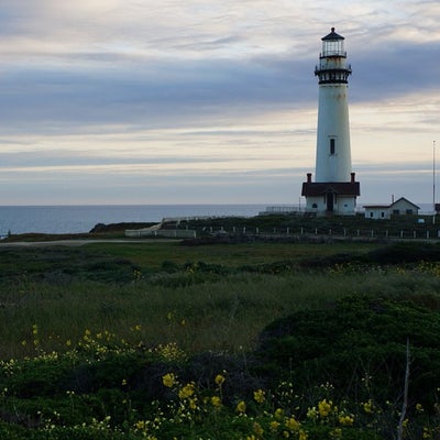 Lighthouse Field State Beach - Westside - 8 tips