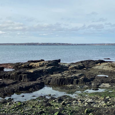 Brenton Point State Park - 23 tips from 2537 visitors