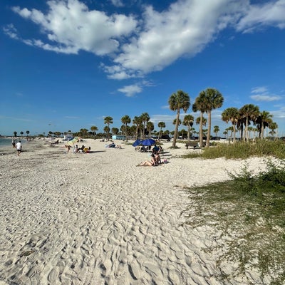 Fred Howard Park Beach - Beach