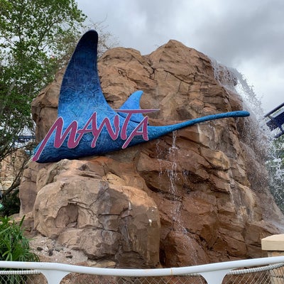 Manta - Sea World Theme Park - 118 tips
