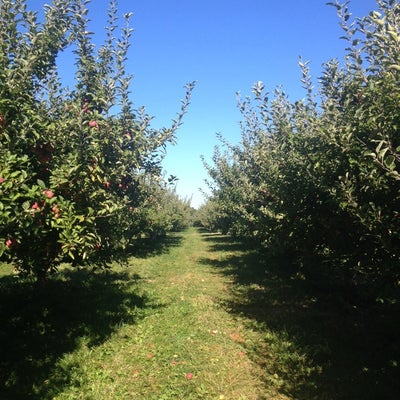 Fishkill Farms - 9 Fishkill Farm Rd