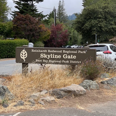 Redwood Park - Skyline Gate - Hiking Trail in Oakland