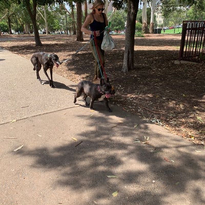 Camperdown Memorial Rest Park - Lennox St