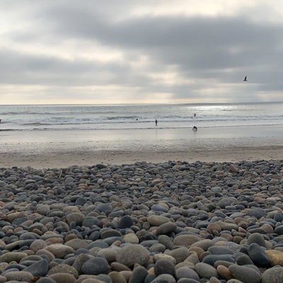 South Ponto Beach (South Carlsbad Beach) - 18 tips from 1976 visitors