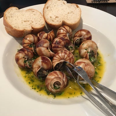 The Little Snail - 33 tips