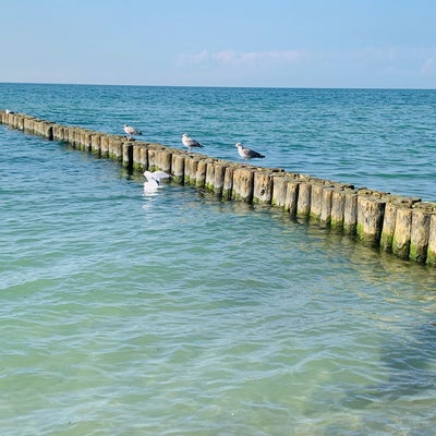 Strand Ahrenshoop - Ostseebad Ahrenshoop, Mecklenburg-Vorpommern