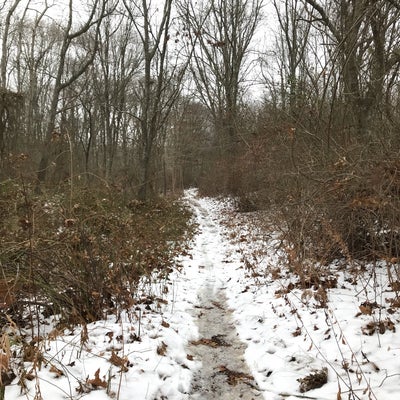 Bluff Point State Park - 23 tips