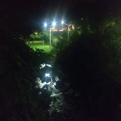 Parque Lineal La Presidenta - El Poblado - 22 tips from 716 visitors