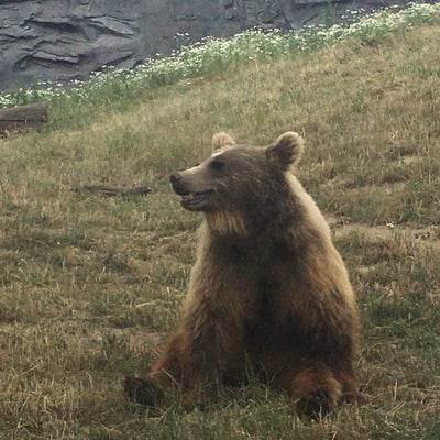 ZOOM Erlebniswelt - Zoo in Bismarck