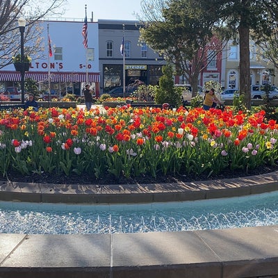 Bentonville Square - Plaza in Bentonville