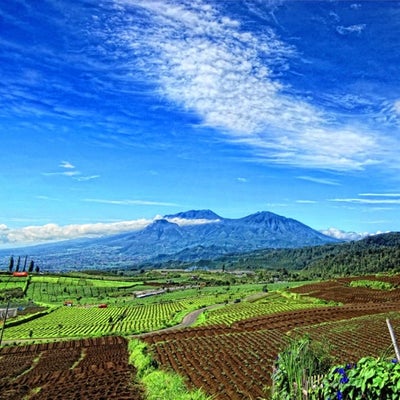Pemandian Air Panas Cangar - Hot Spring in Batu