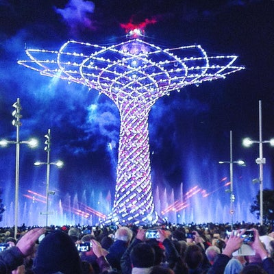 Albero della Vita - Lake Arena