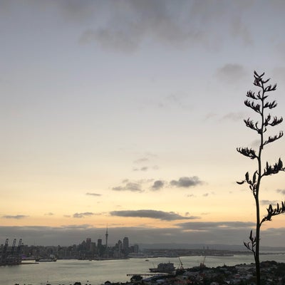 Mount Victoria Reserve - Scenic Lookout in Devonport