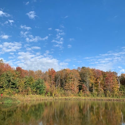 Metroparks North Chagrin Reservation - 18 tips from 989 visitors