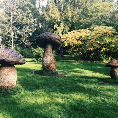 Botanisk Hage og Museum - Botanical Garden in Oslo