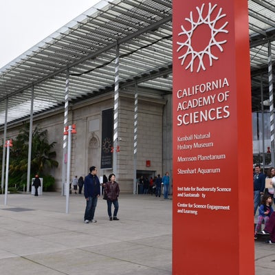 California Academy of Sciences - Science Museum in San Francisco