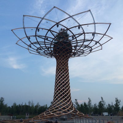 Albero della Vita - Lake Arena