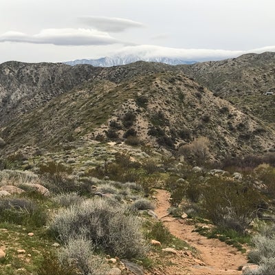 Big Morongo Canyon Preserve - Park