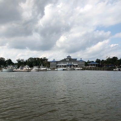 Ocean Pines Yacht Club - Harbor / Marina in Ocean Pines