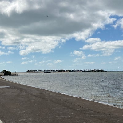 Fred Howard Park Beach - Beach
