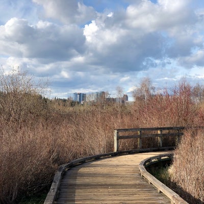 Mercer Slough Nature Park - West Bellevue - 10 tips from 623 visitors