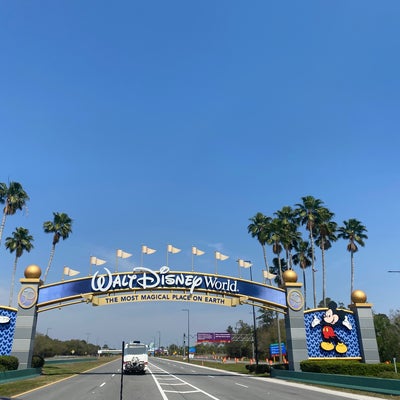 Walt Disney World Main Entrance - 38 tips from 7624 visitors