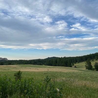 Black Hills National Forest - Rockerville, SD