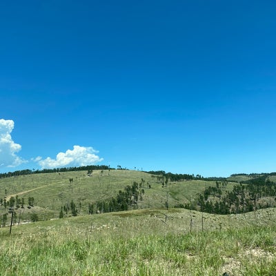 Black Hills National Forest - Rockerville, SD