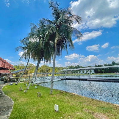 Taman Botani Putrajaya - 85 tips from 13330 visitors