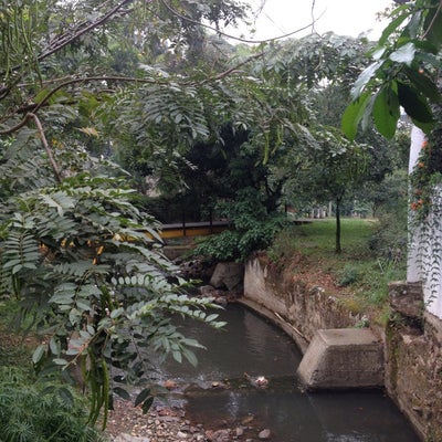 Parque Lineal La Presidenta - El Poblado - 22 tips from 707 visitors