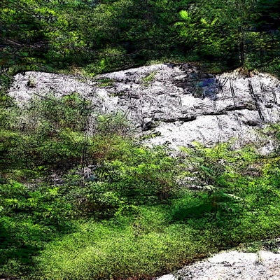 St. Nicholas Park - Park in West Harlem